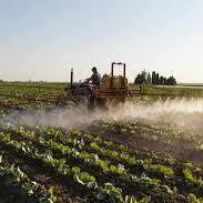 Working Principle of CIP Spray Balls in Cleaning Systems - nozzlepro ...