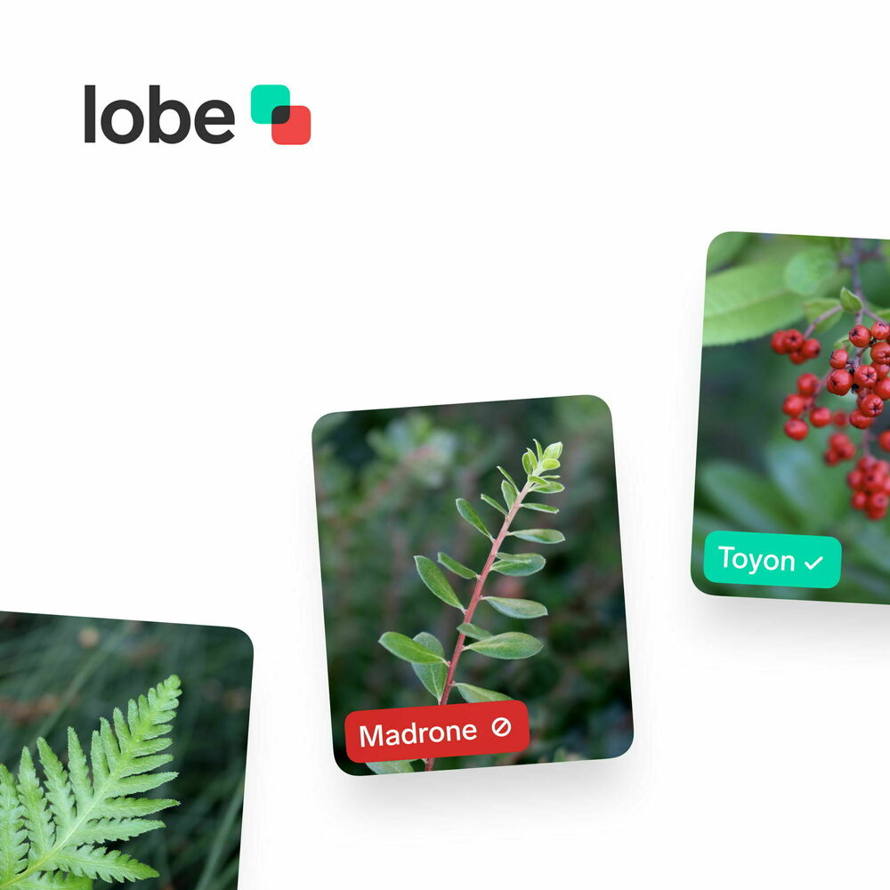 Lobe - Microsoft-365 Tech Stack